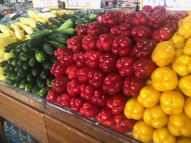 Leesa Davis – Lifestyle and Travel Writer